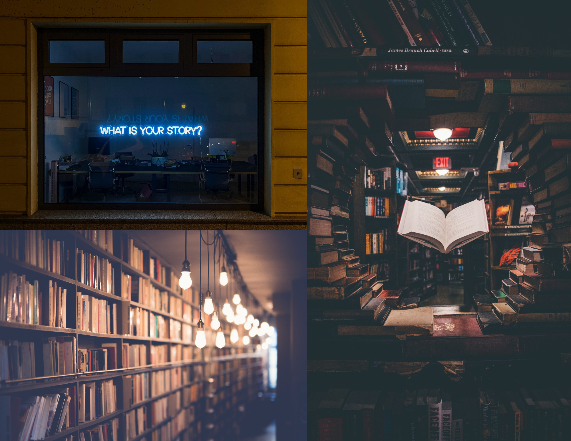 Writing, Literature, and Language | Metro State University